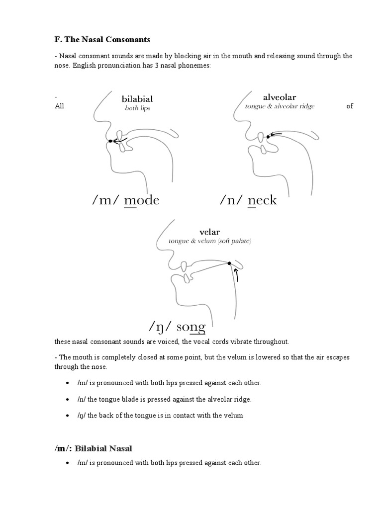F. The Nasal Consonants | PDF | Language Families | Phonology