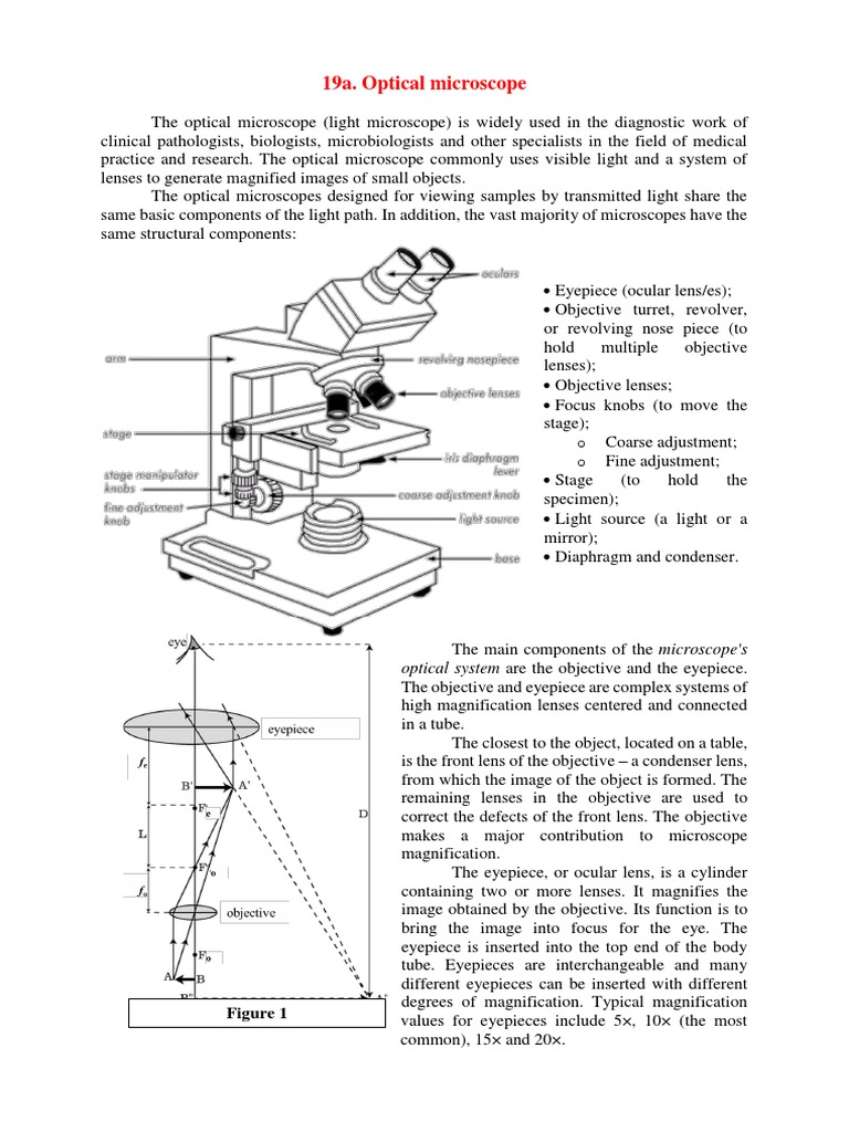 Optical Microscope | PDF | Angular Resolution | Fluorescence Microscope