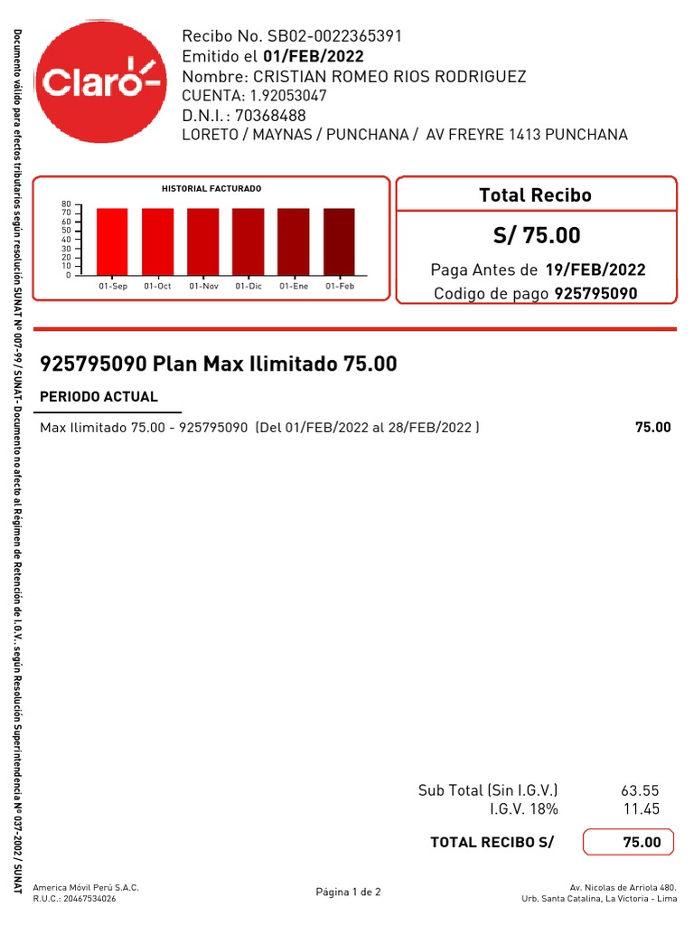 Recibo Claro Perú: Detalles y Consumo | PDF | Tecnología de información ...