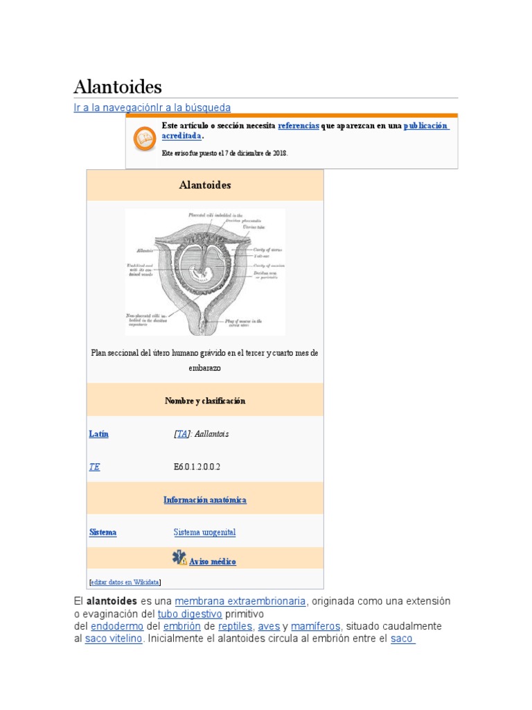 Alantoides | PDF | Anatomía