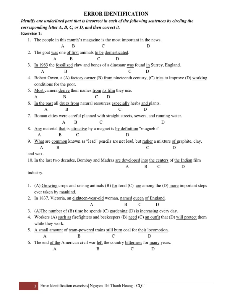 Error Identification: Exercise 1 | PDF