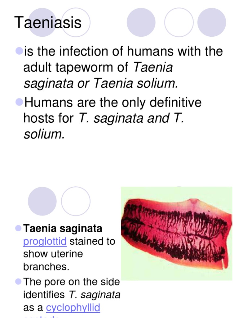 Taeniasis Infection Causes and Symptoms | PDF | Immunology | Epidemiology