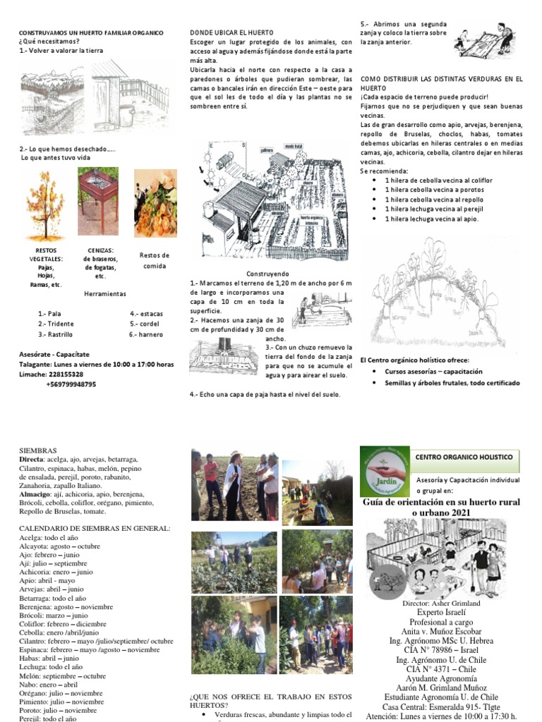 Triptico Huerta Urbana y Rural | PDF | Plantas | Agronomía