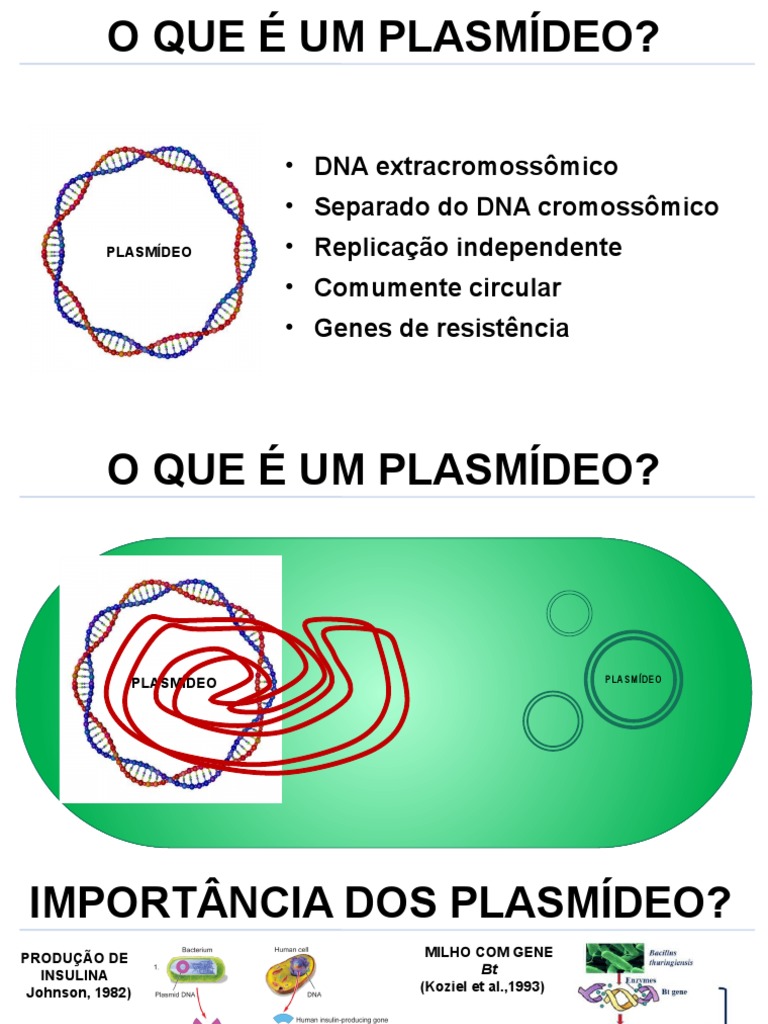 Plasmídeos | PDF | Plasmídeo | DNA Recombinante