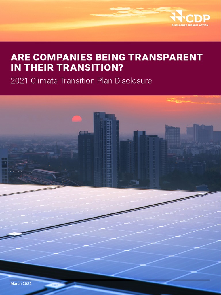 2021 Climate Transition Plan Disclosure | PDF