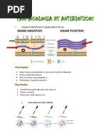 Mapas Mentais Microbio | PDF