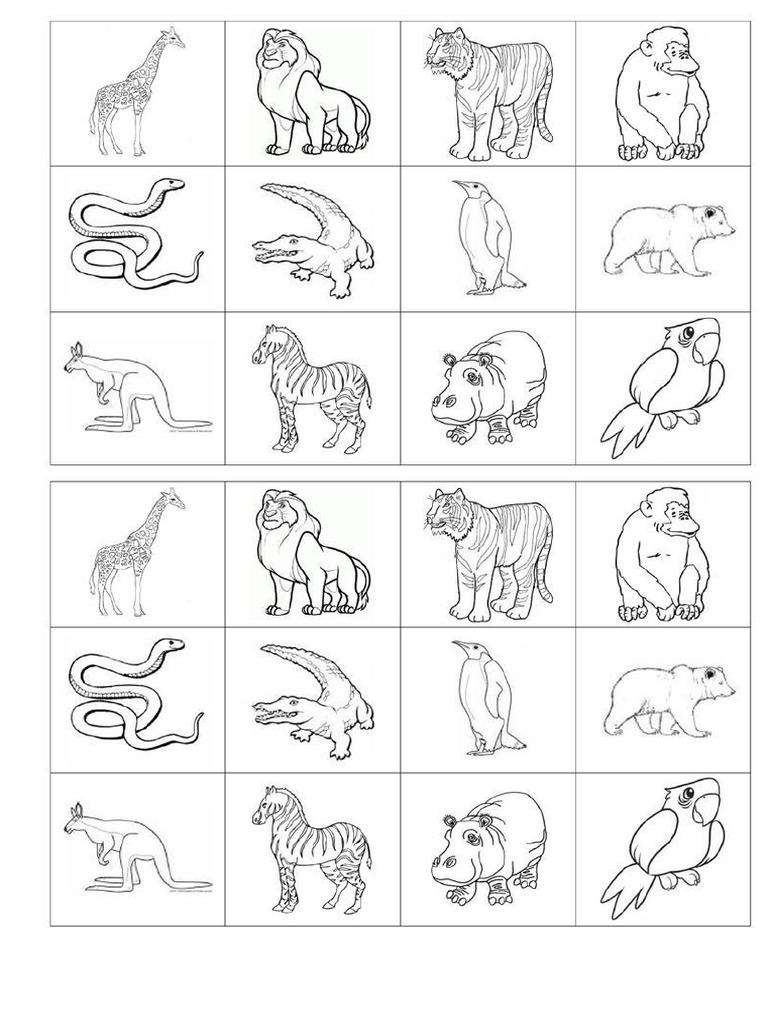 Memory Wild Animals | PDF