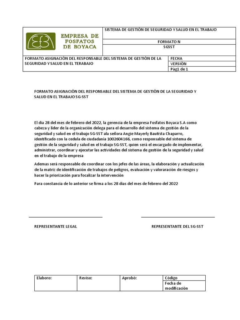 Formato Asignaciòn de Responsable | PDF