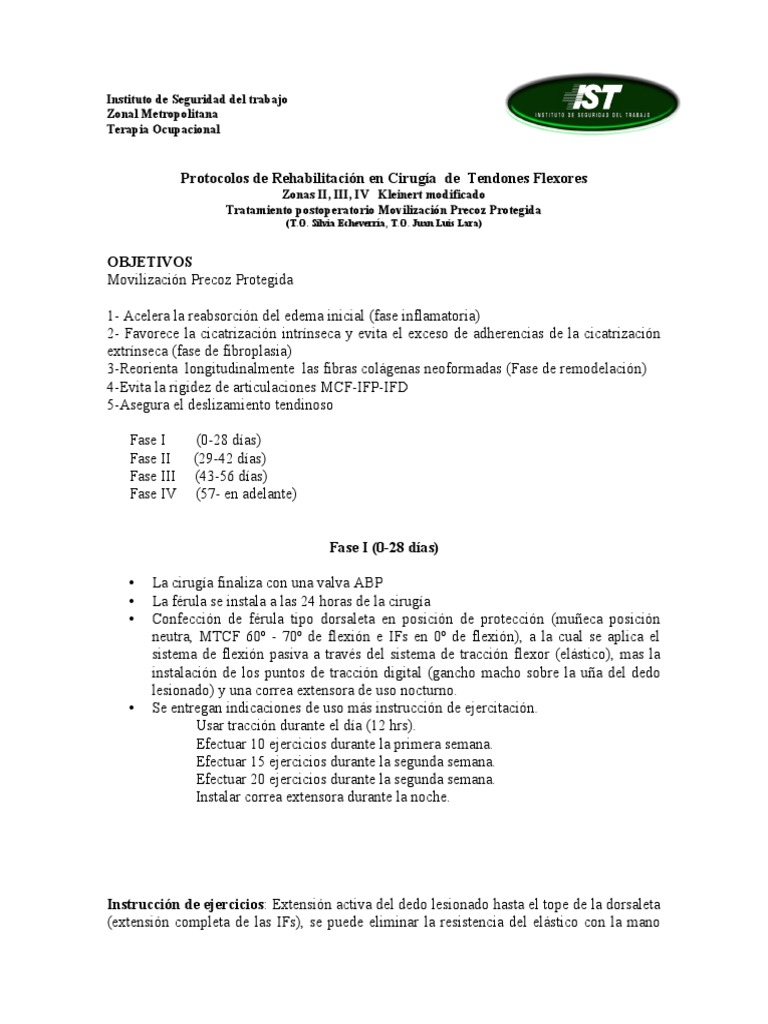 Protocolos de Rehabilitación en Cirugía de Tendones Flexores IST | PDF | Tendón | Enfermedades y ...
