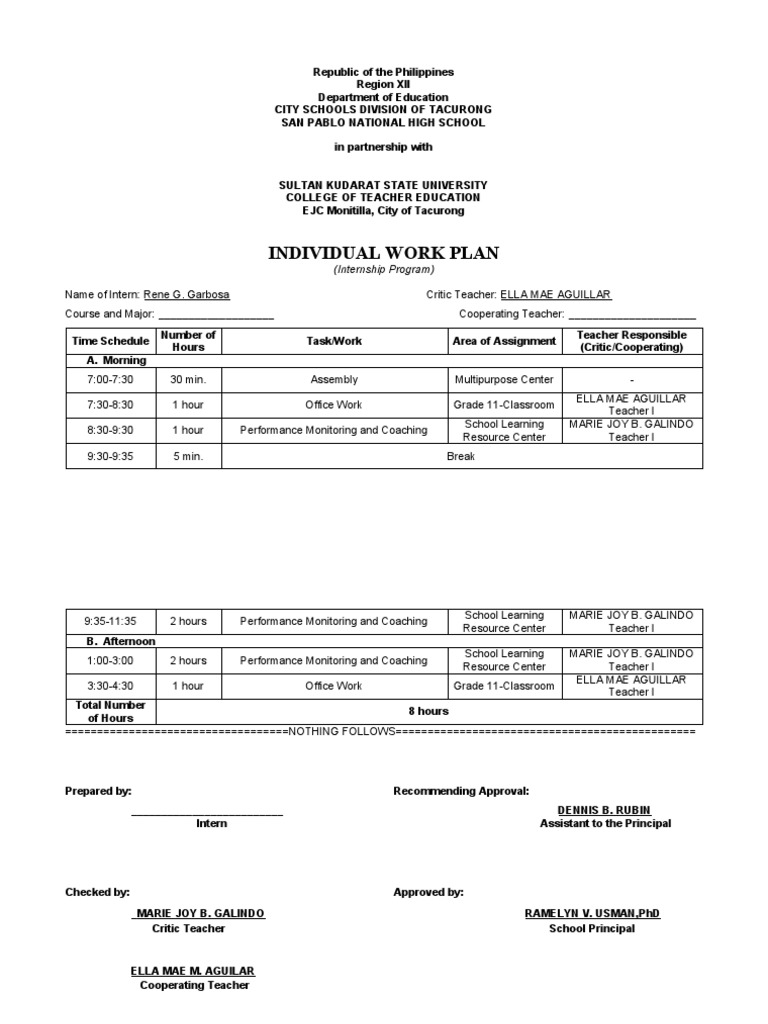 Individual Work Plan: (Internship Program) | PDF