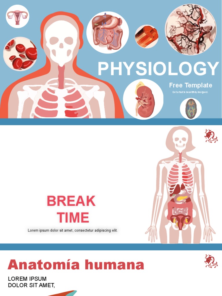 Physiology: Free Template | PDF | Visual System | Sensory Organs