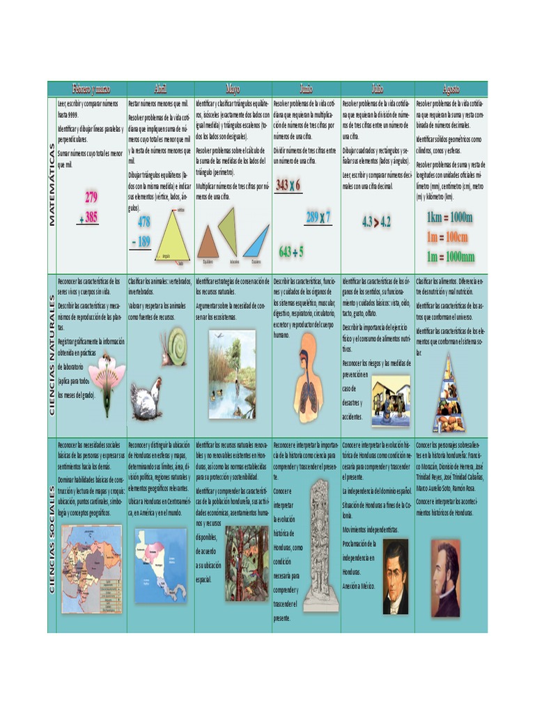 Estándares Mensuales Asignaturas Basicas 3° Grado | PDF | Triángulo ...