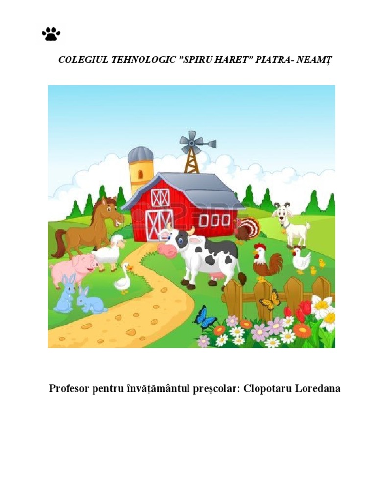 Proiect Final Lorry | PDF