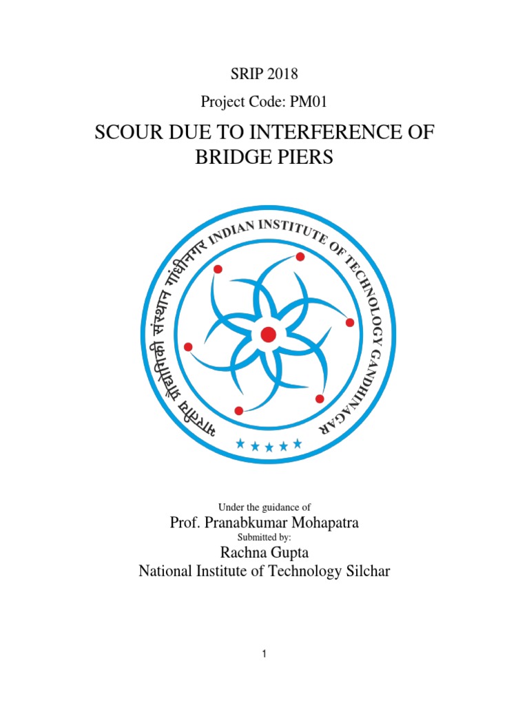Scour Due To Interference of Bridge Piers: SRIP 2018 Project Code: PM01 ...