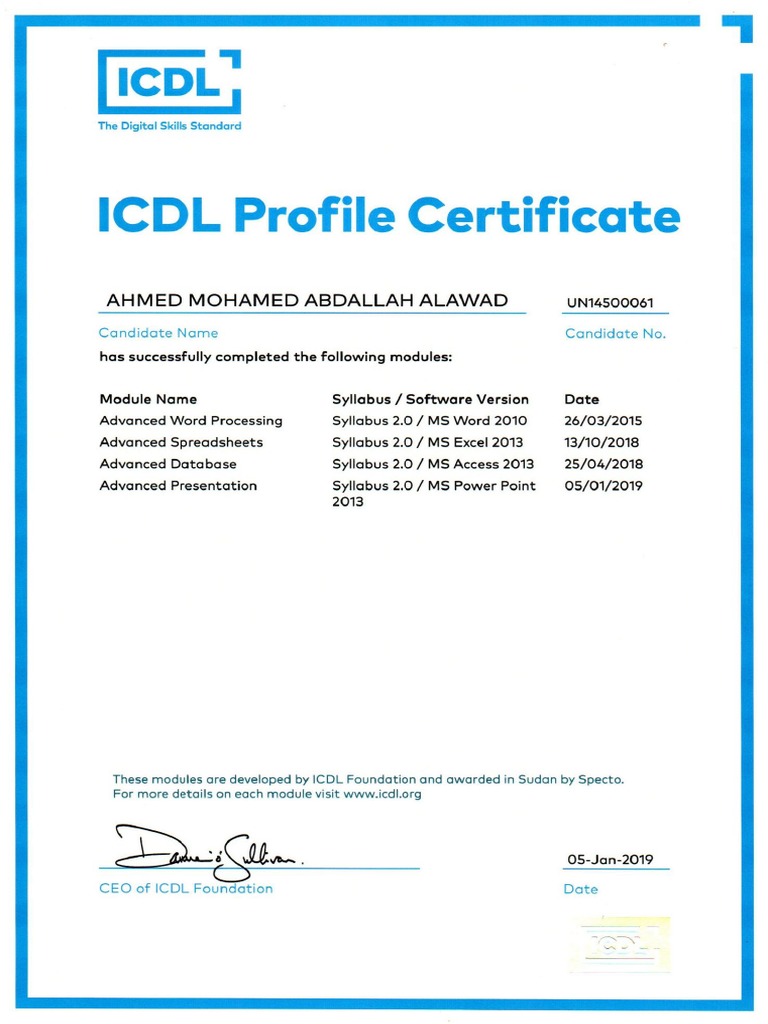Advanced ICDL | PDF