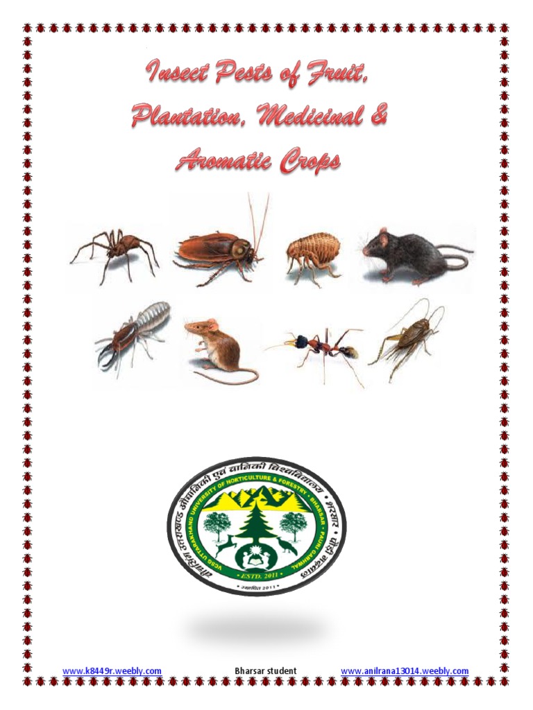 Insect Pest in Fruit and Map | PDF | Pollination | Insects