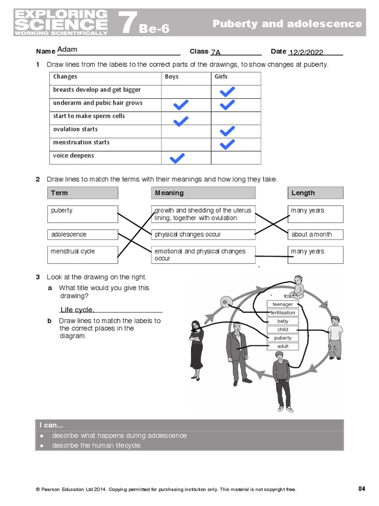 7be6 Puberty and Adolescence | PDF