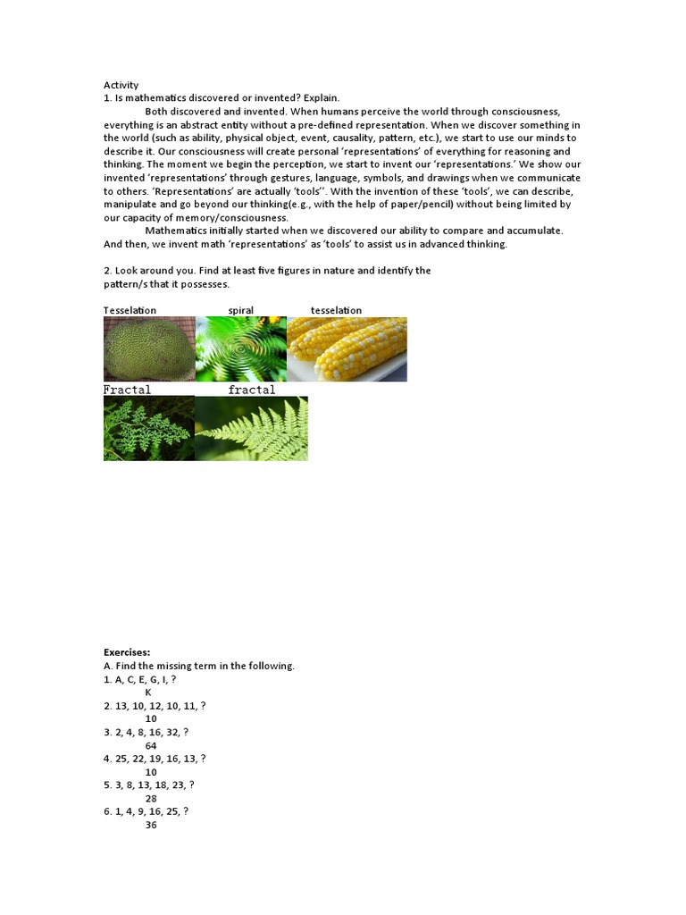 Fractal Fractal: Exercises | PDF