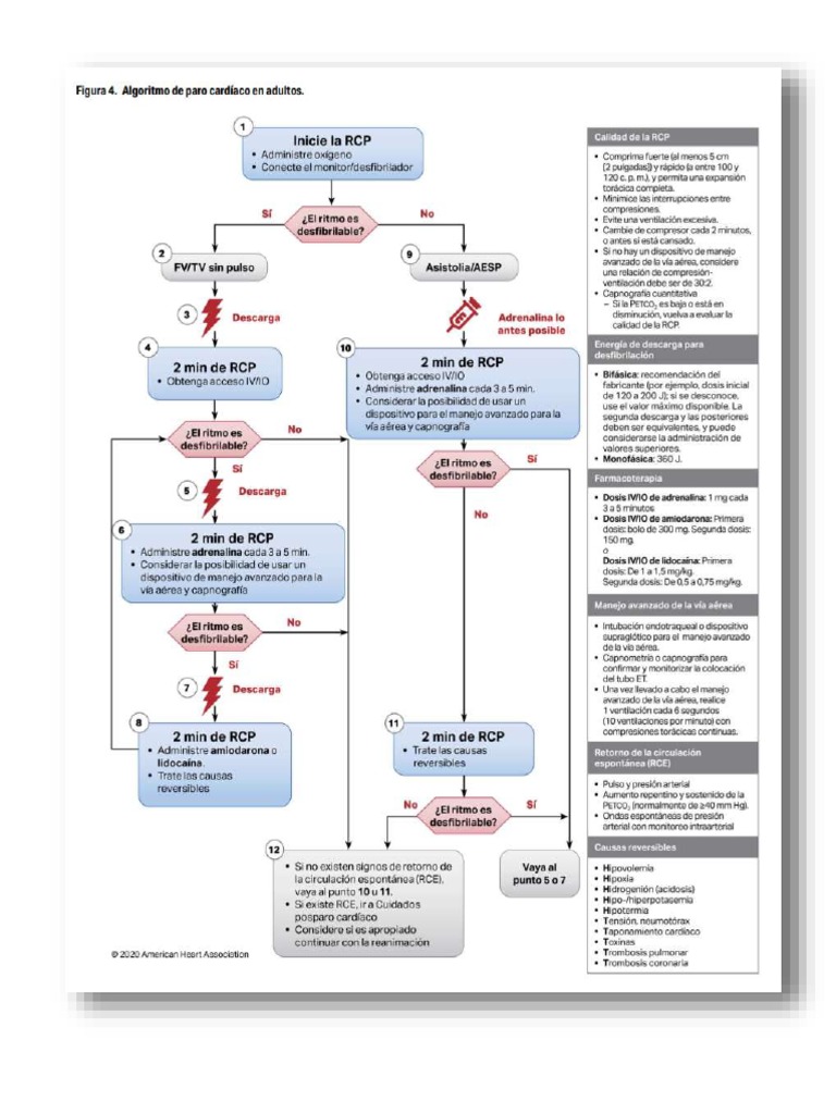Algoritmo Aha 2020 | PDF