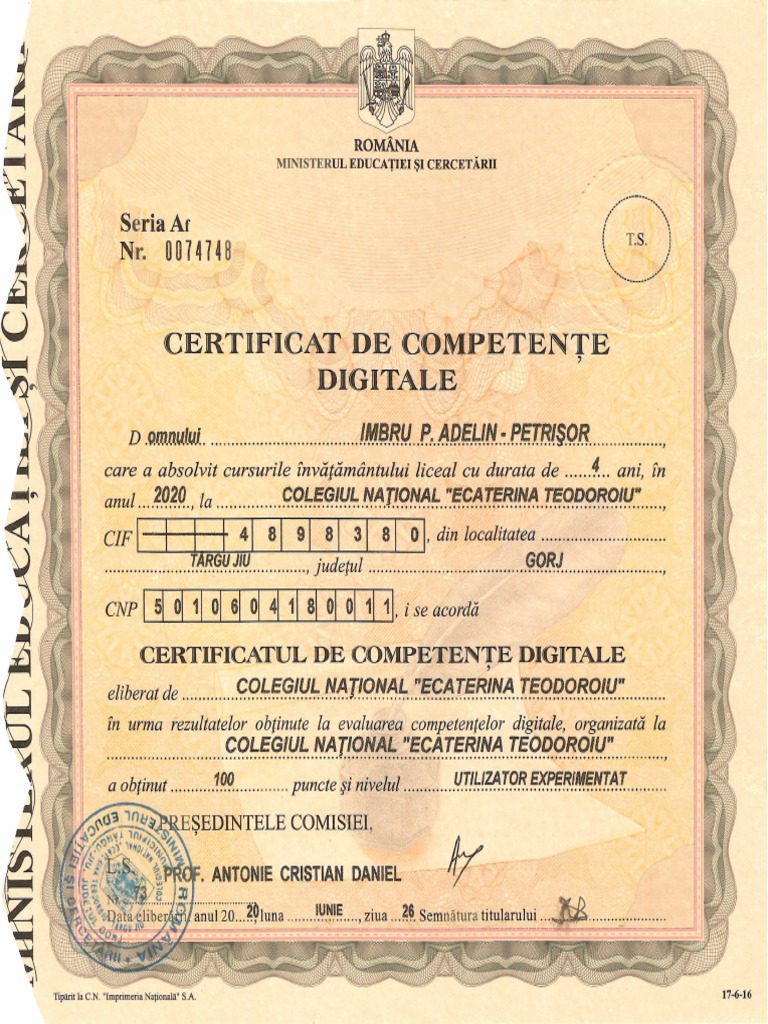 Certificat Competente Digitale | PDF