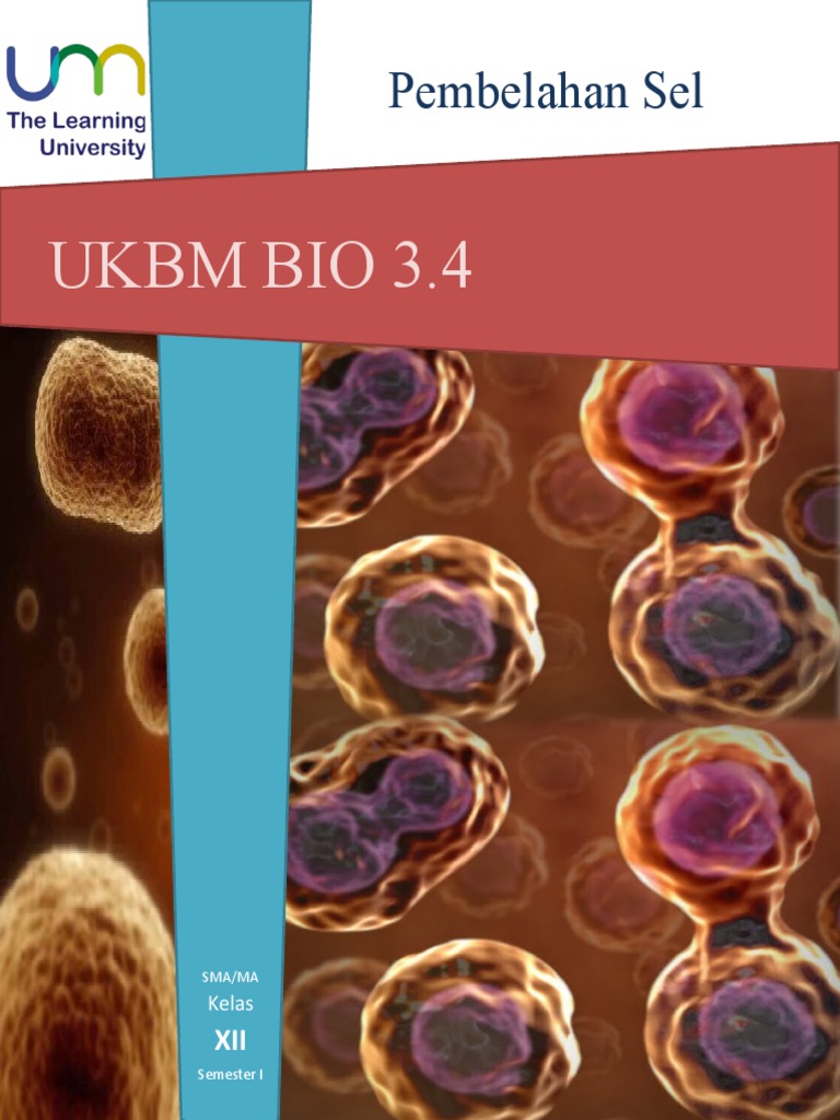 Ukbm Pembelahan Sel | PDF