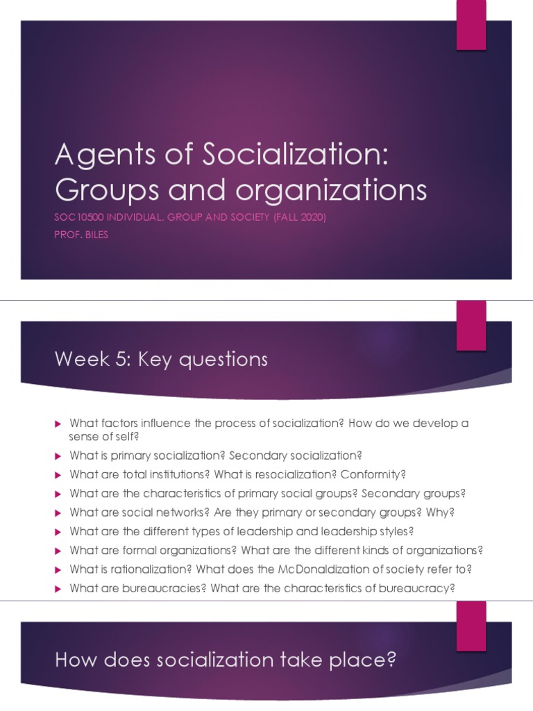Agents Of Socialization Groups And Organizations Pdf Socialization