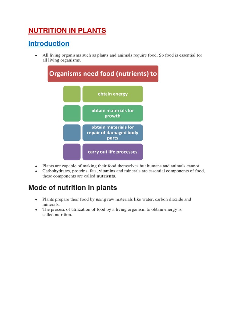 Nutrition in Plants | PDF | Plants | Nutrition