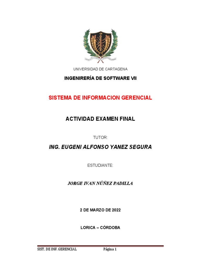 Sistemas de Información Gerencial | PDF