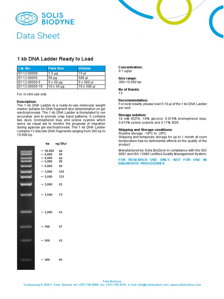 1 KB DNA Ladder Ready To Load: Cat. No. Pack Size | PDF | Agarose Gel ...