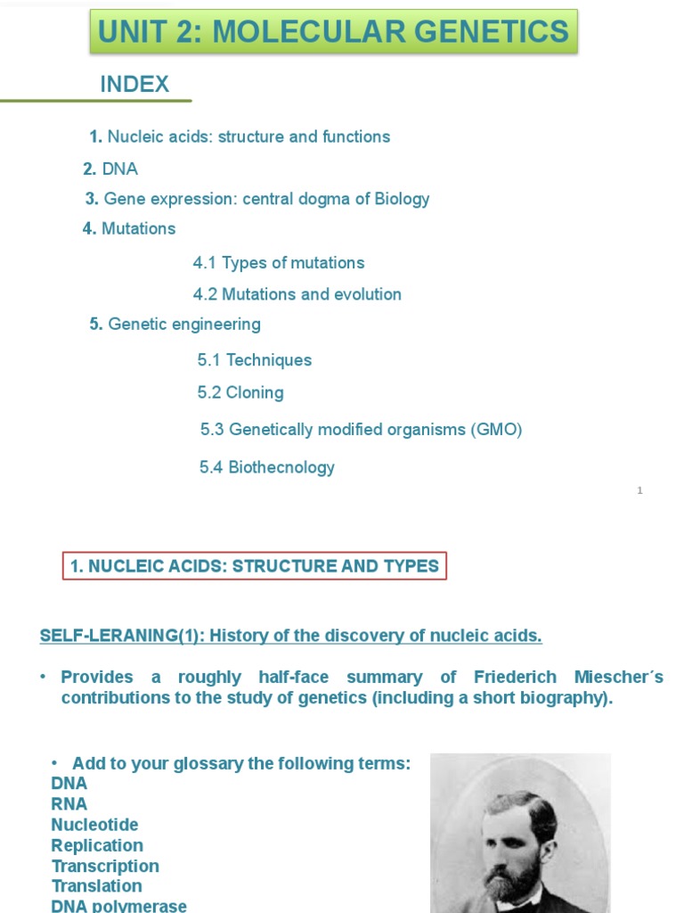Unit 2. Molecular Genetics | PDF | Dna | Nucleic Acids