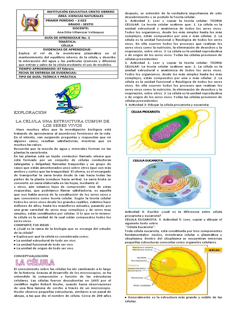 Guia #1 Célula Grado 6 2022 | PDF