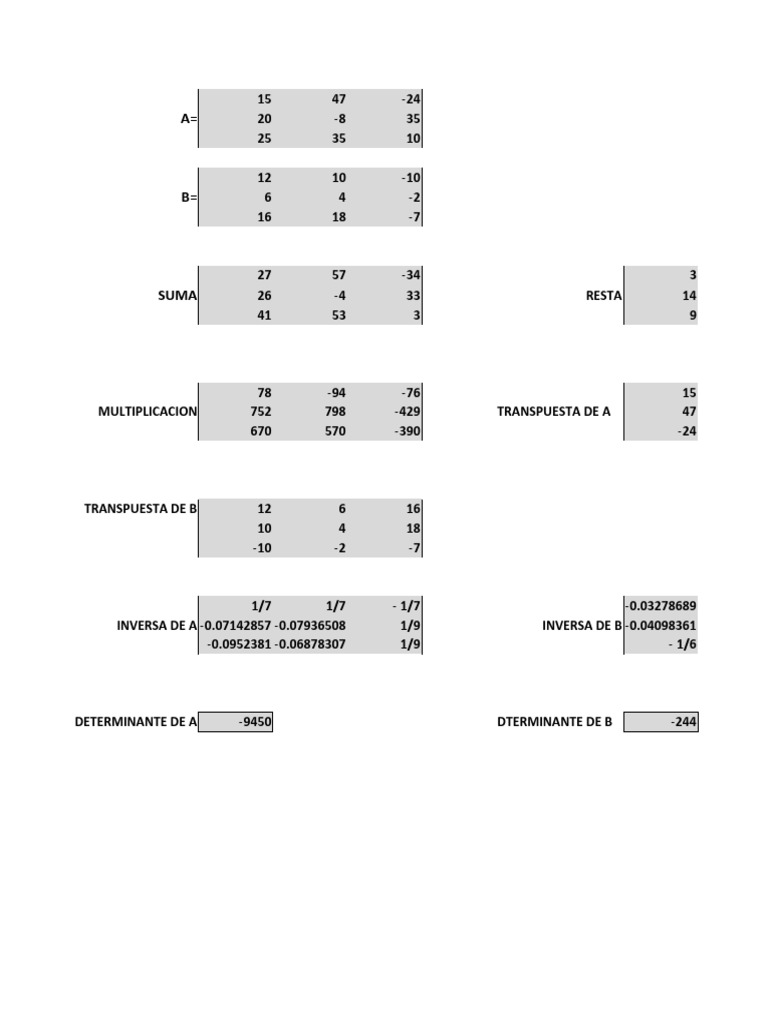 Ejemplos de Matrices Resueltos en Excel | PDF | Determinante | Teoría ...