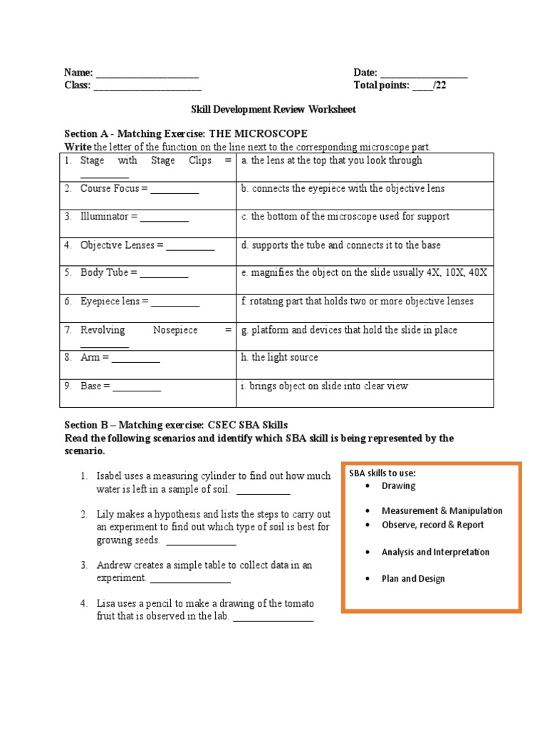 Skills Development Worksheet | PDF | Microscope | Experiment