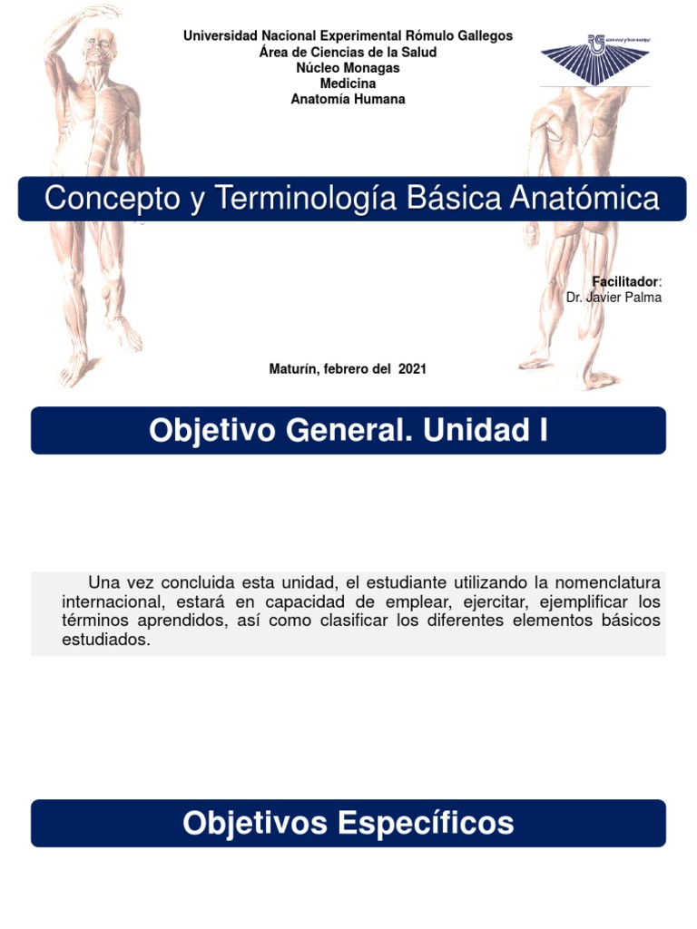 Terminología Básica de Anatomía Humana | PDF | Anatomía | Términos ...