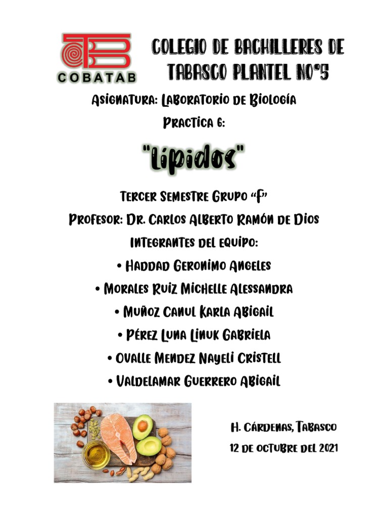 Práctica 6 Lípidos Pdf Cocina Comidas Y Vino Salud Y Bienestar