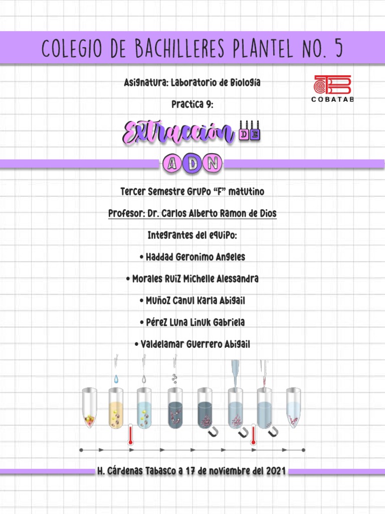 Práctica 9 Extracción de ADN | PDF | Adn | Biología Celular)