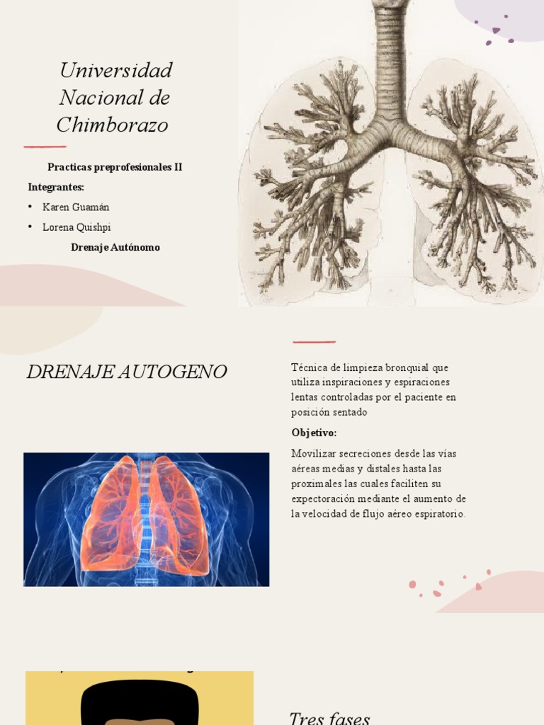 Diapositivas Drenaje Autógeno | PDF | Sistema respiratorio | Pulmón