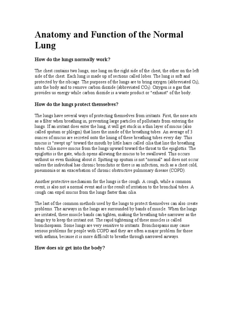 Anatomy and Function of The Normal Lung | Download Free PDF | Lung ...