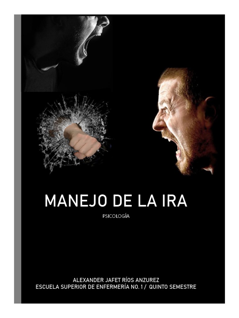 Manejo de la Ira: Estrategias y Causas | PDF | Ira | Las emociones
