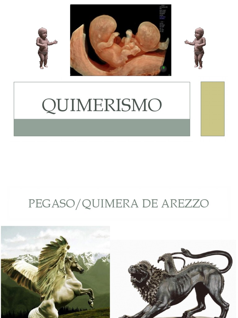 Quimerismo | PDF