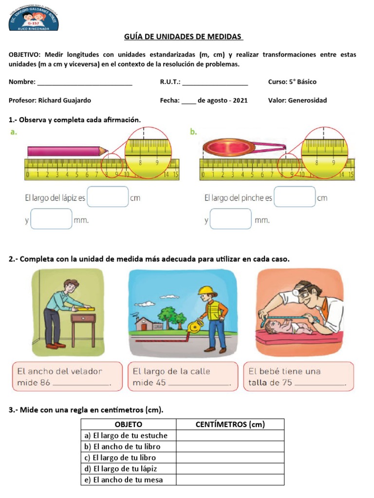 Guía de Unidades de Medidas | PDF