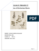 Herbarium Format Project | PDF | Botany | Plants