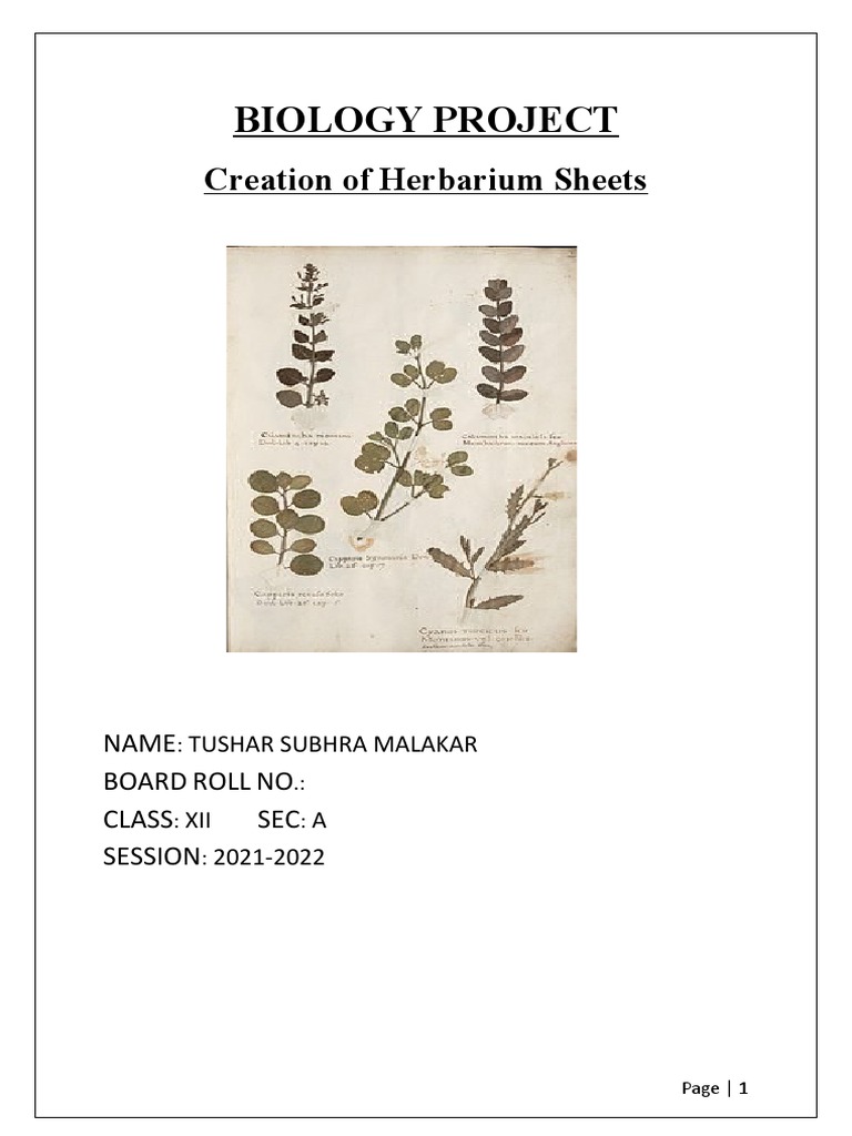 Bio Project Format 2021-2022 | PDF | Botany | Nature