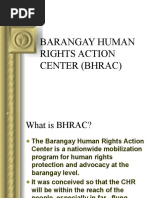 Badac House Clusters Organizational Structure | PDF