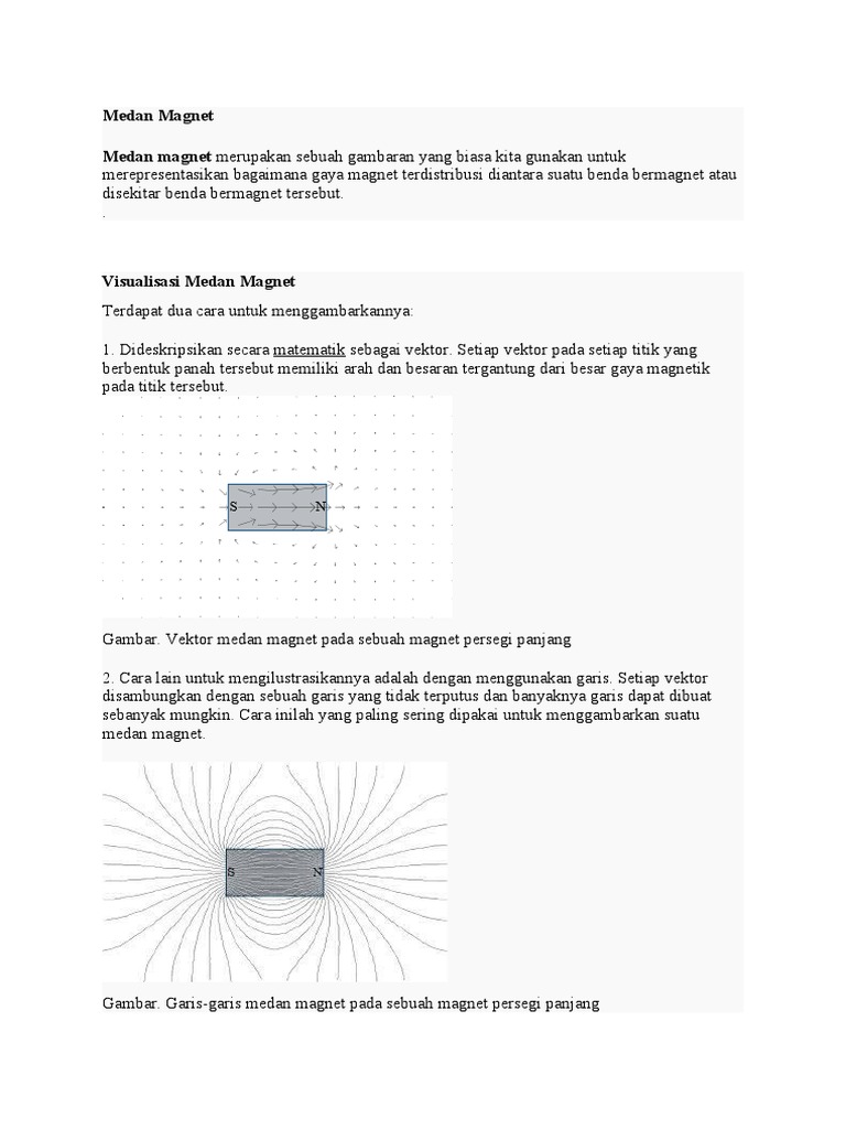 Visualisasi Medan Magnet dan Karakteristiknya | PDF | Sains & Matematika