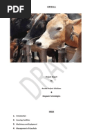 gAUSHALA PROJECT REPORT | PDF | Cattle | Biogas