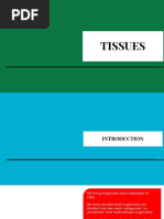 Tissues - PPT - Grade 9 | PDF | Epithelium | Tissue (Biology)