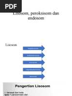 Fungsi dan Struktur Peroksisom Sel | PDF