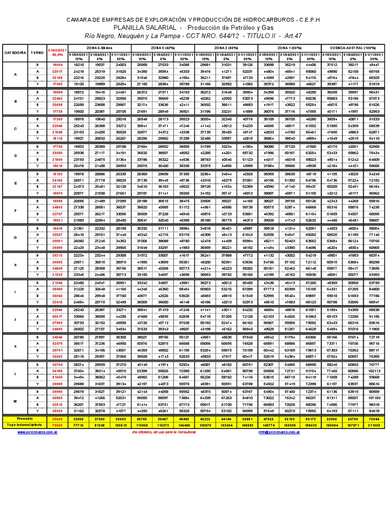 Escalas Salarialess Pyg P RN NQN y LP 2021 PDF 210930 19863 | PDF ...