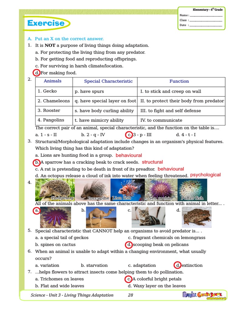 Answer KEY 3.3 Living Things Adaptation-1 | PDF | Leaf | Insects